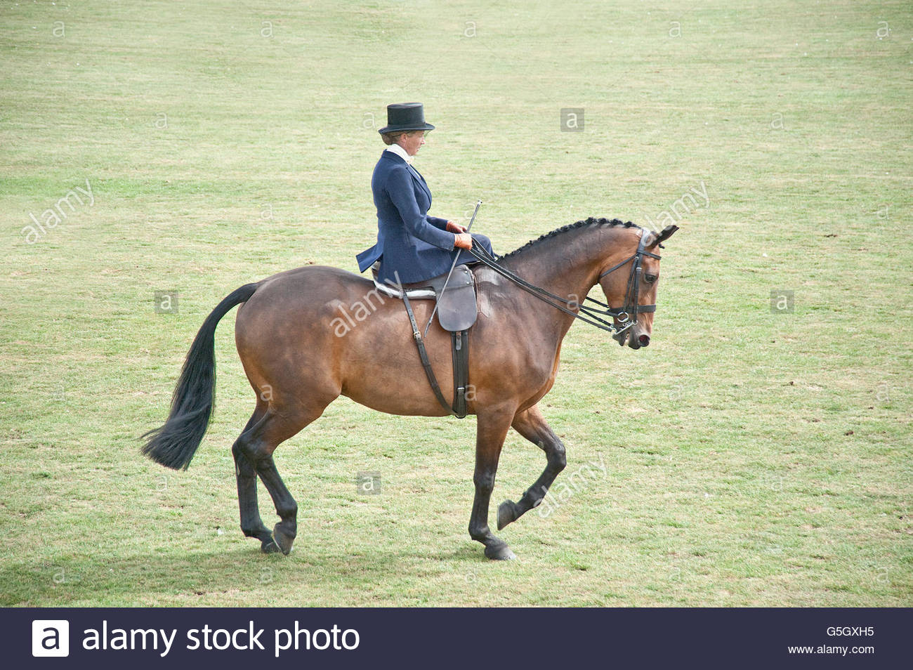 Side Saddle Lady Rider Stock Photos & Side Saddle Lady Rider Stock ...
