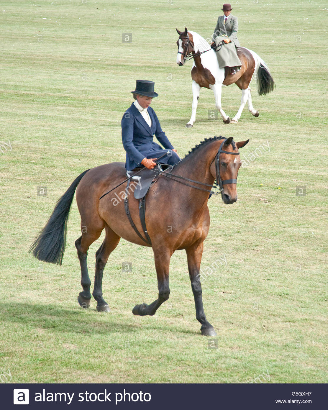 Side Saddle Lady Rider Stock Photos & Side Saddle Lady Rider Stock ...