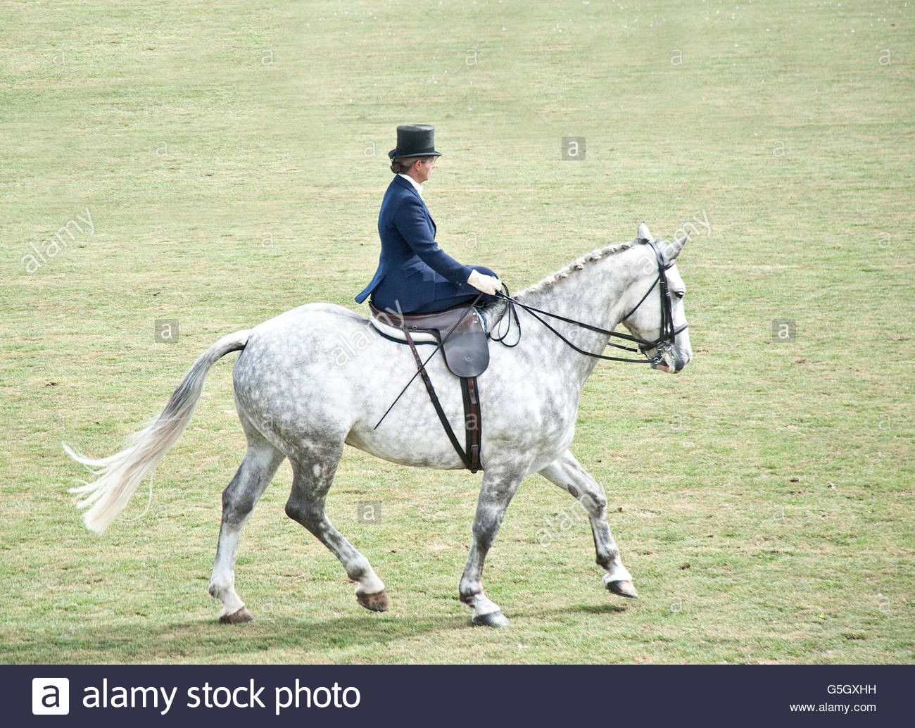 Side Saddle Lady Rider Stock Photos & Side Saddle Lady Rider Stock ...