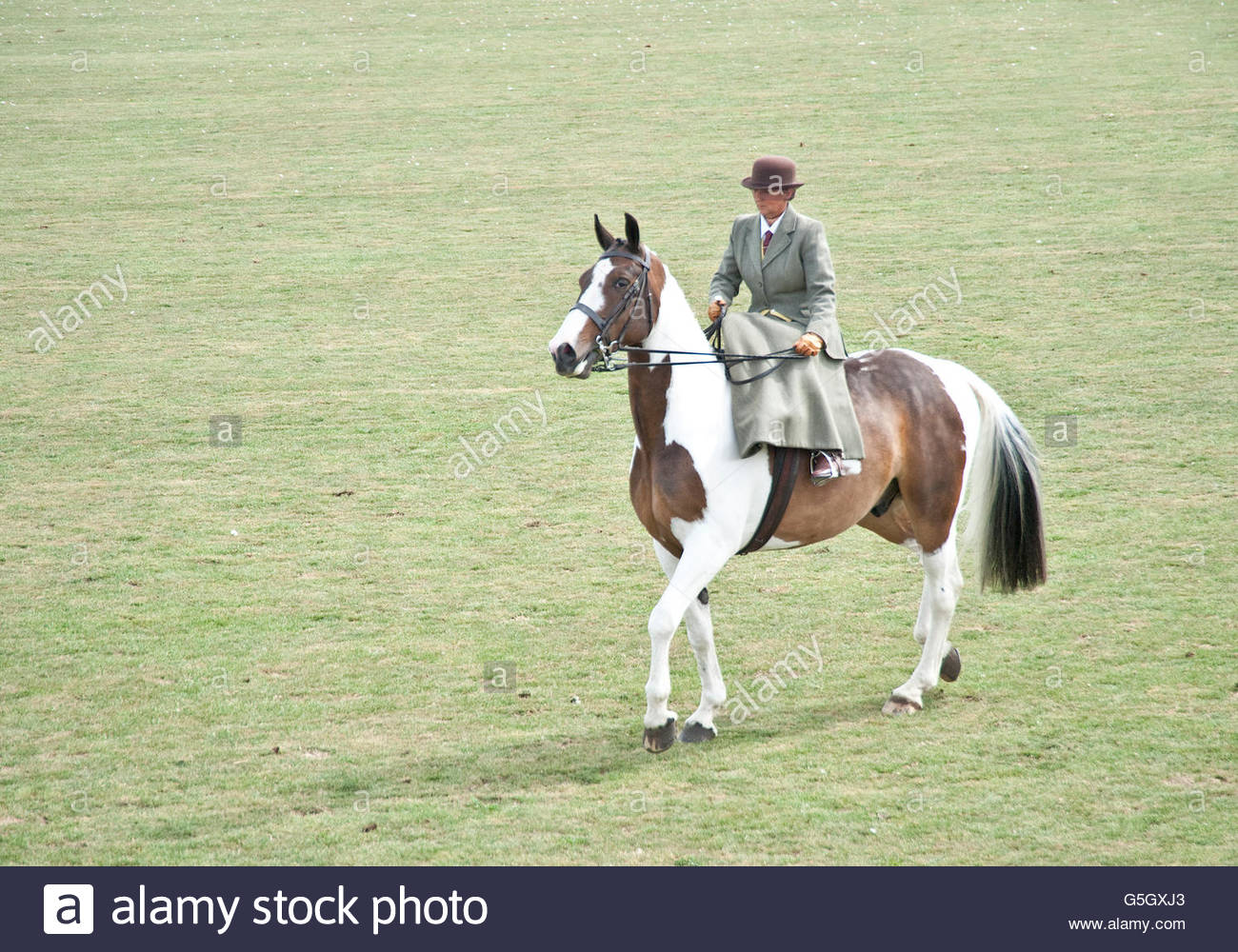 Side Saddle Lady Rider Stock Photos & Side Saddle Lady Rider Stock ...