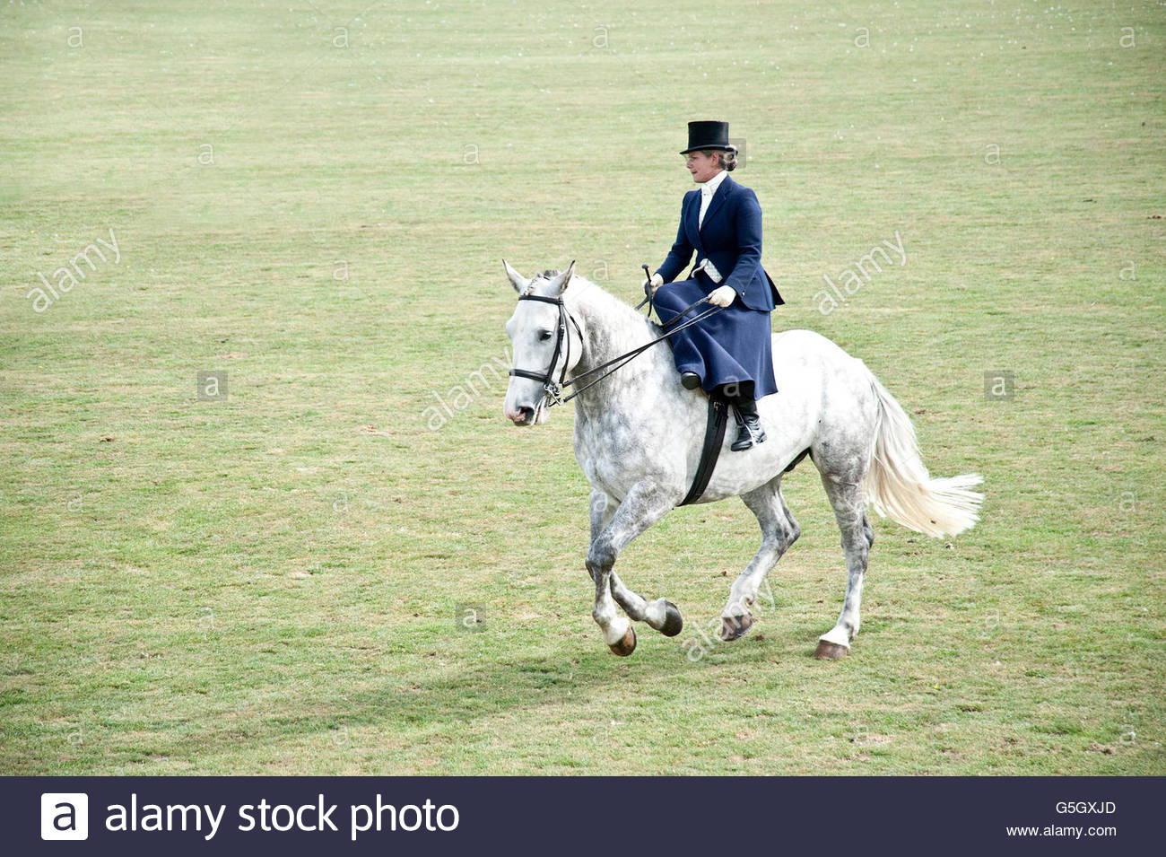 Side Saddle Stock Photos & Side Saddle Stock Images - Alamy