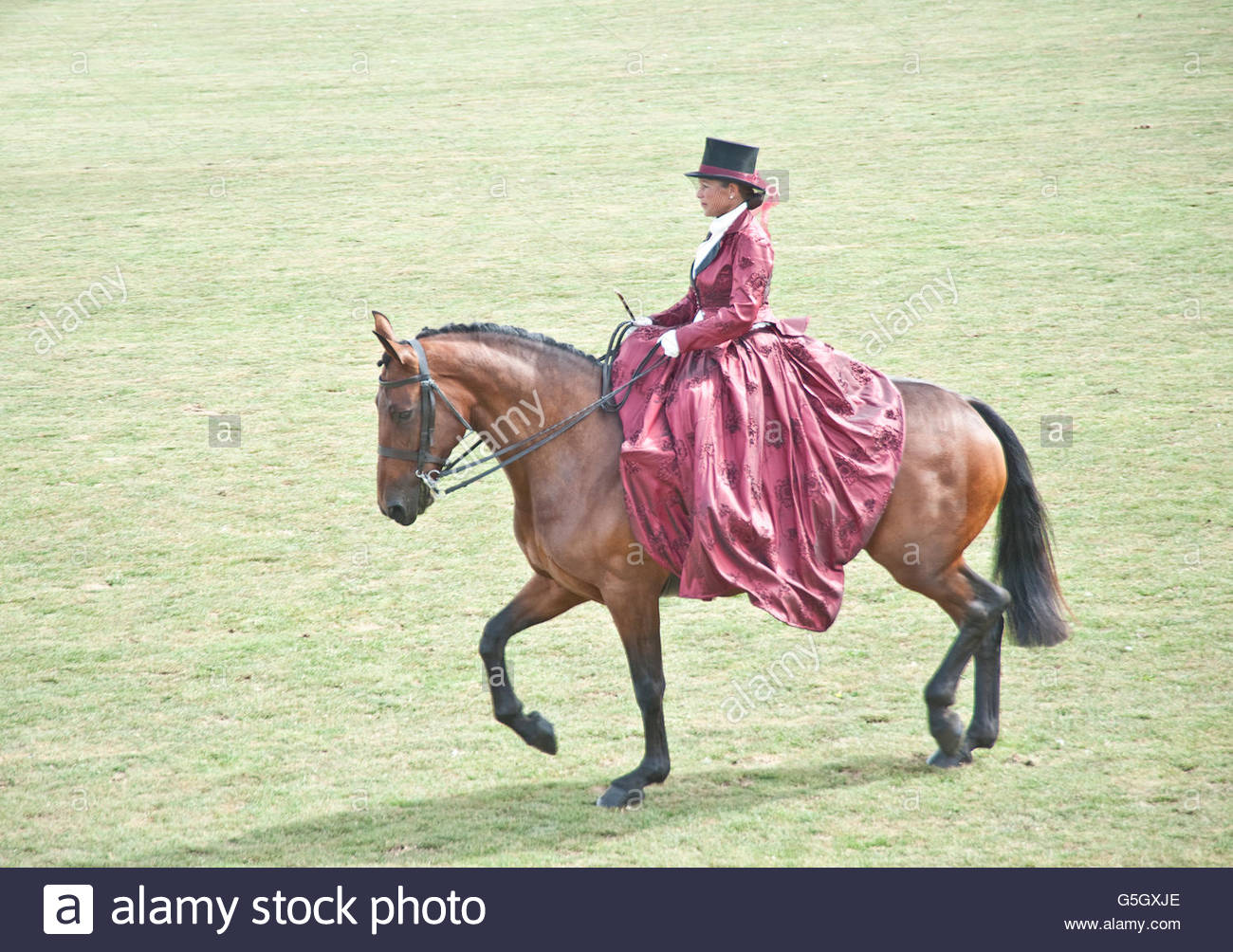 Side Saddle Lady Rider Stock Photos & Side Saddle Lady Rider Stock ...