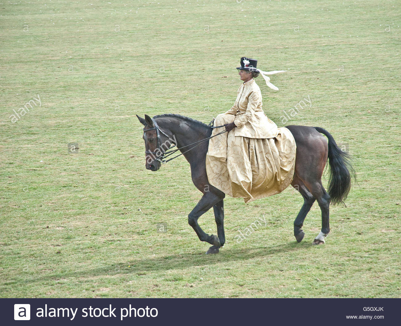 Side Saddle Lady Rider Stock Photos & Side Saddle Lady Rider Stock ...