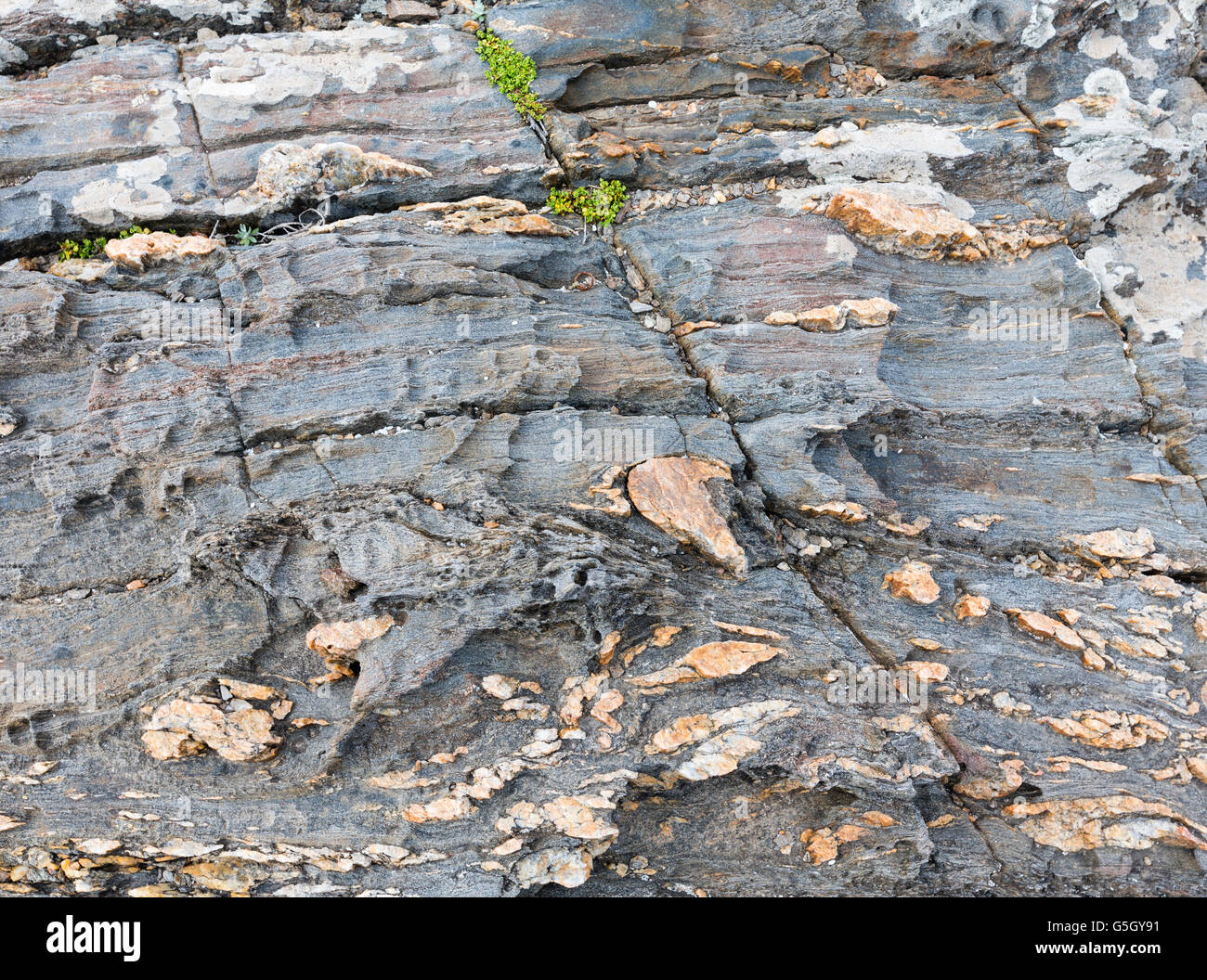 Part of rock close up. Nature background Stock Photo - Alamy