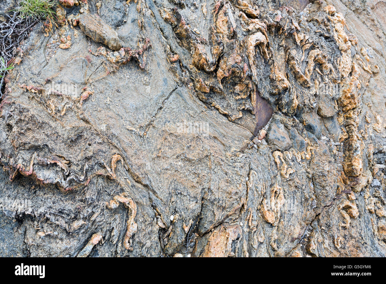 Part of rock close up. Nature background Stock Photo - Alamy