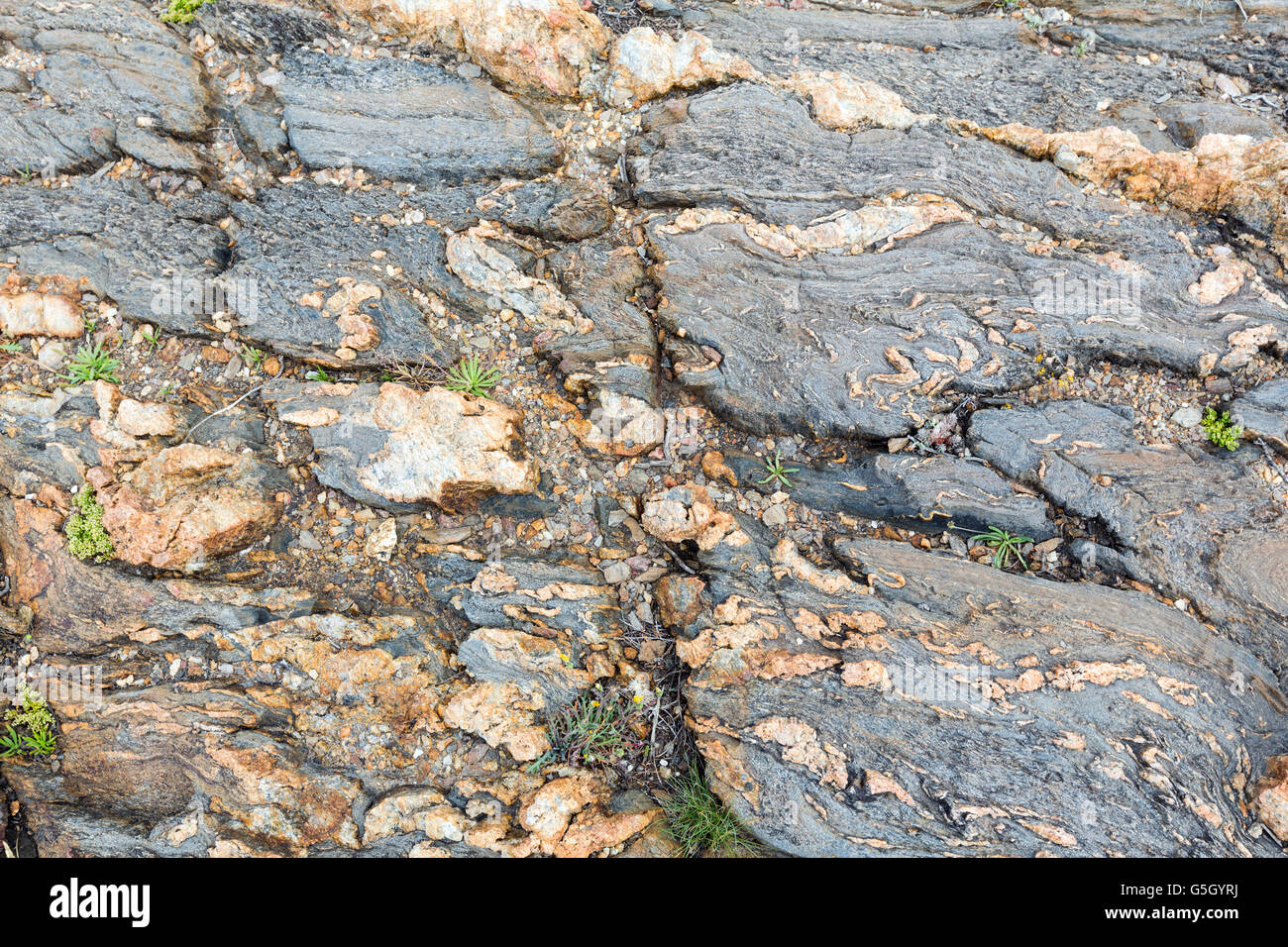 Part of rock close up. Nature background Stock Photo - Alamy