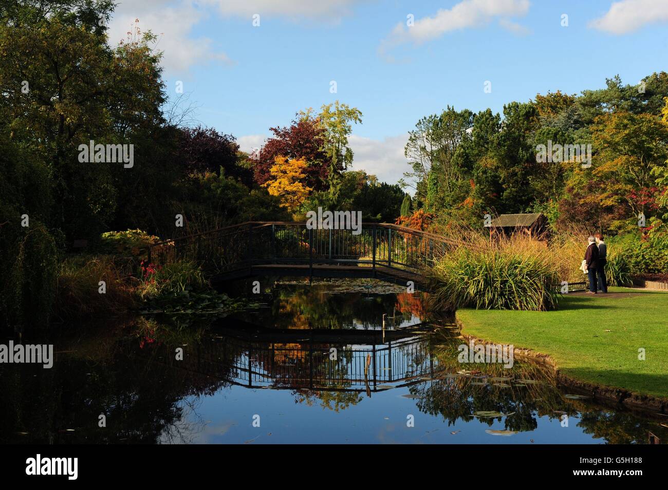 Autumn colours on display burnby hall gardens hi-res stock photography ...