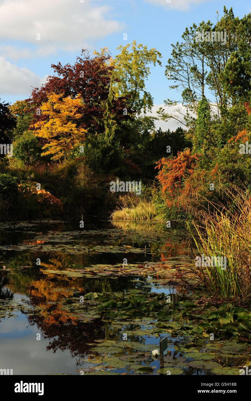 Autumn colours on display at Burnby Hall Gardens, Pocklington, East ...
