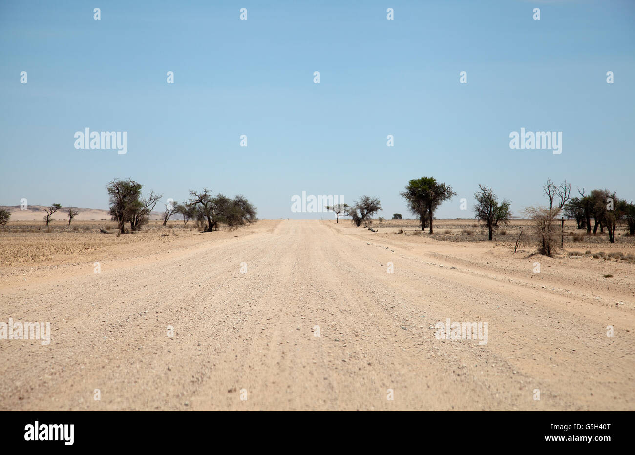 C14 hi-res stock photography and images - Alamy