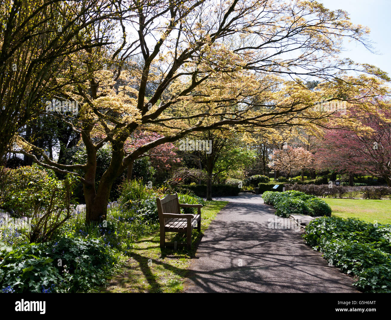 Seat beneath trees hi-res stock photography and images - Alamy