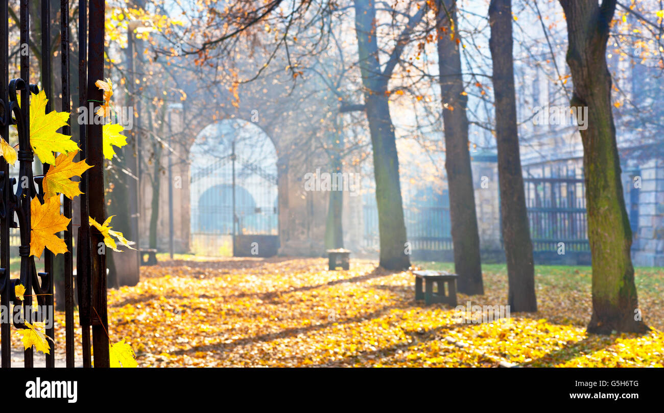 autumn colonade with a gateway and yellow blades Stock Photo - Alamy