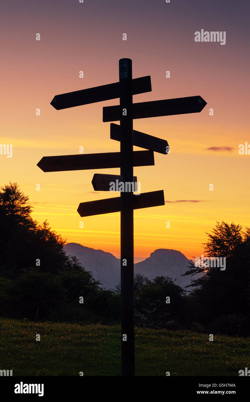 Multiple choice hi-res stock photography and images - Alamy