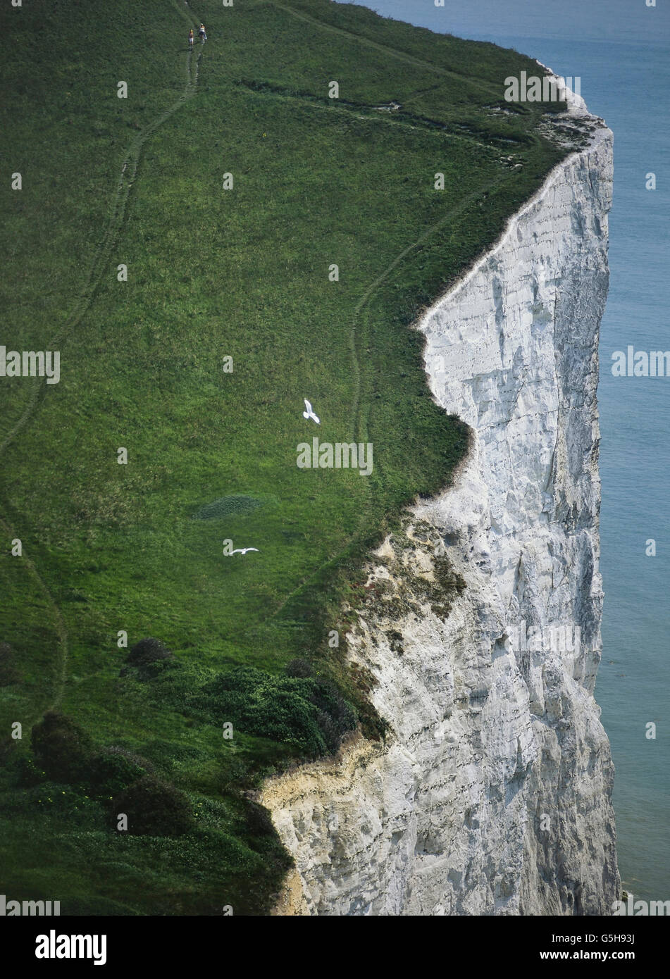 The White cliffs of Dover. Kent. England. UK Stock Photo - Alamy