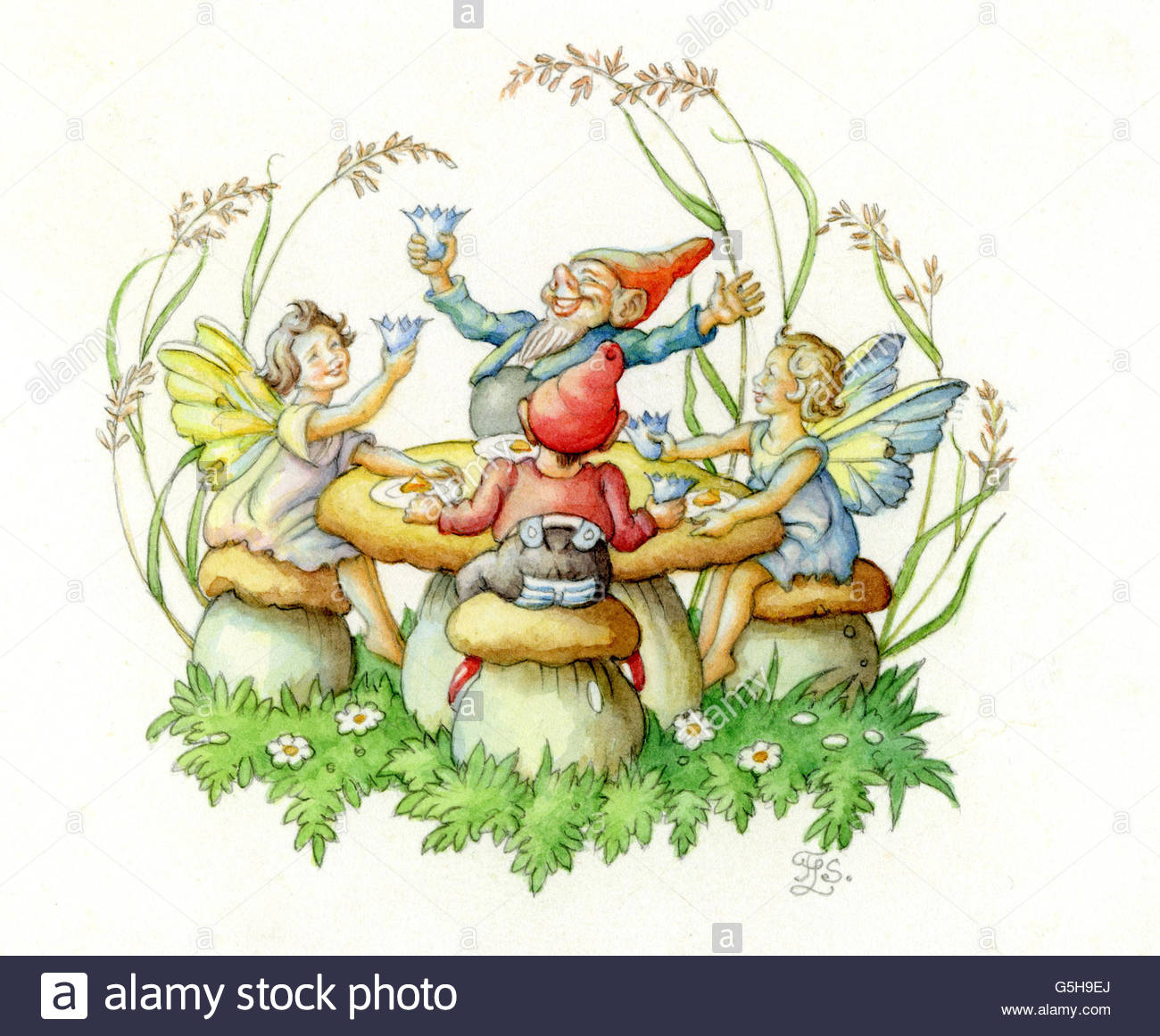 Fairy And Elf Stock Photos & Fairy And Elf Stock Images - Alamy