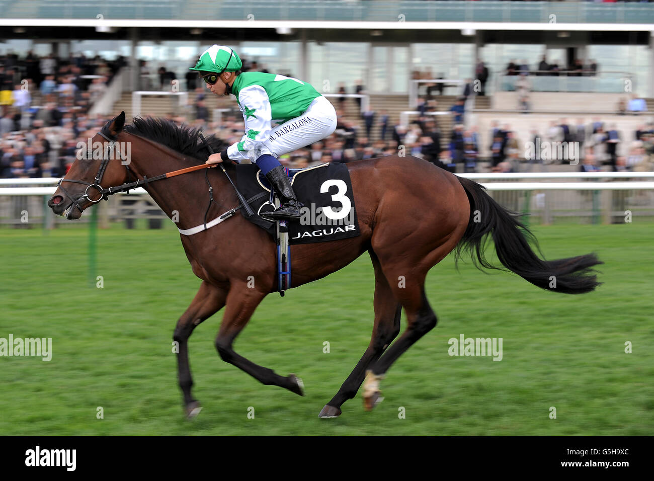 Hoyam hi-res stock photography and images - Alamy