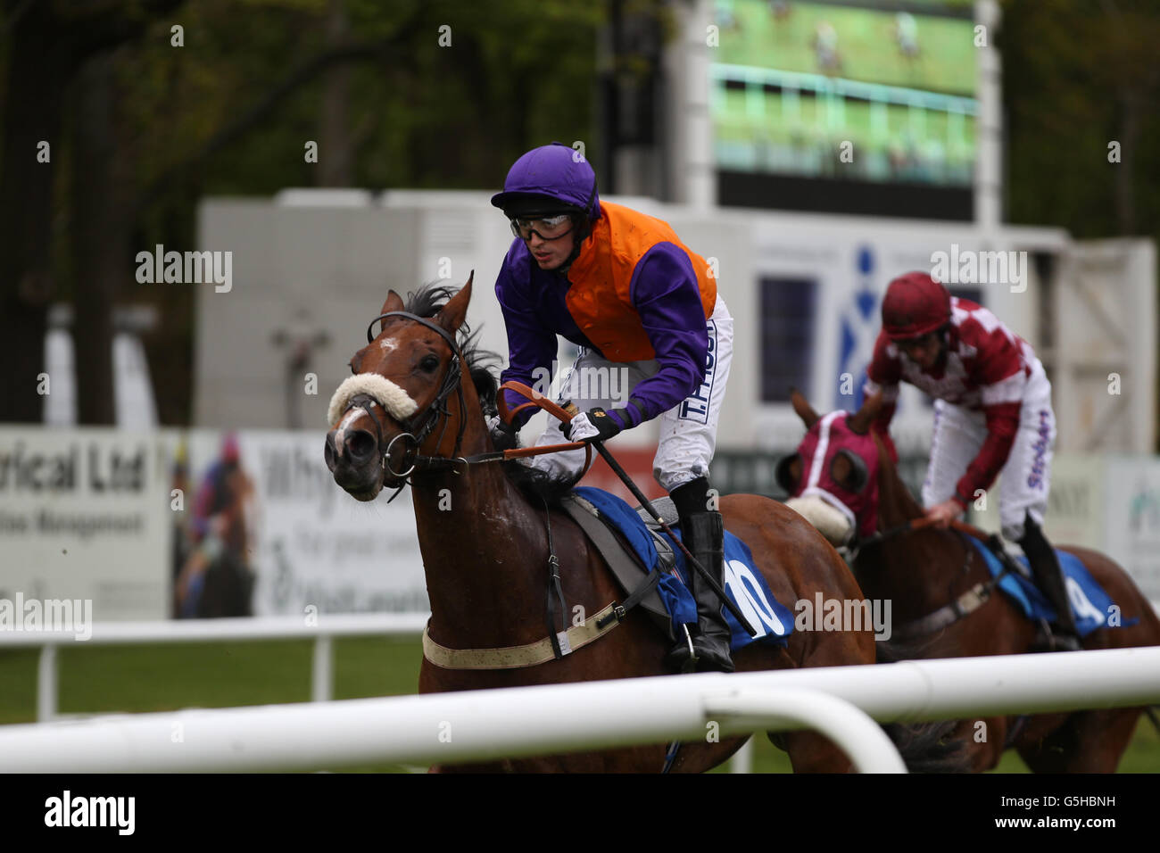 Hamilton park racecourse hi-res stock photography and images - Alamy