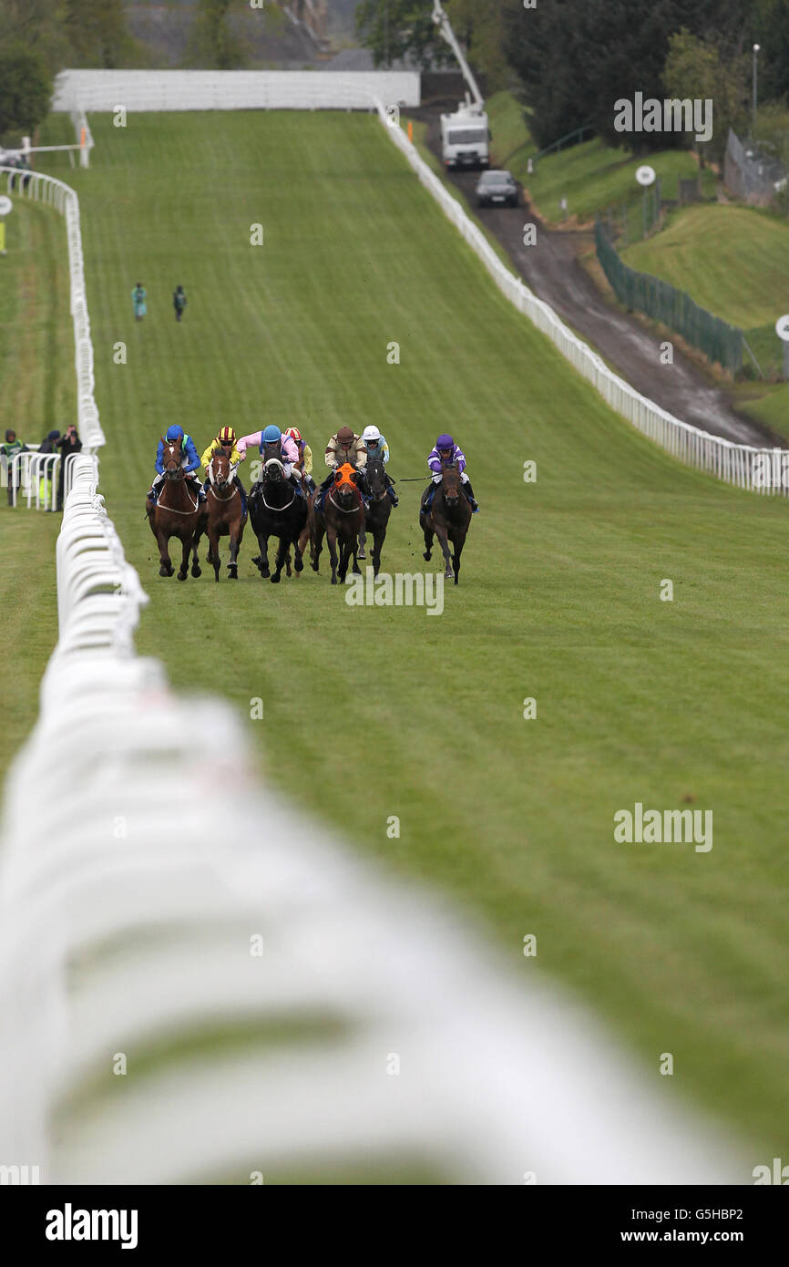 Hamilton park racecourse hi-res stock photography and images - Alamy