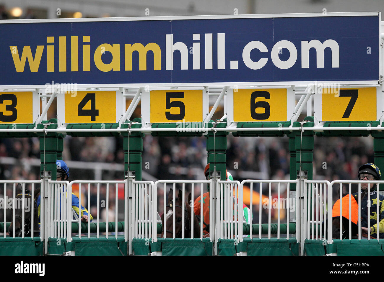 Horse Racing - William Hill Braveheart Night - Hamilton Park Racecourse ...