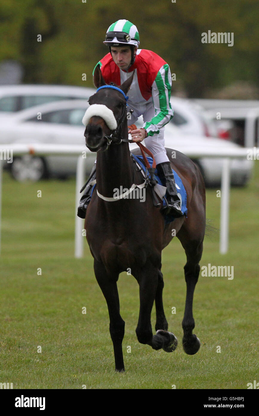Horse Racing - William Hill Braveheart Night - Hamilton Park Racecourse ...