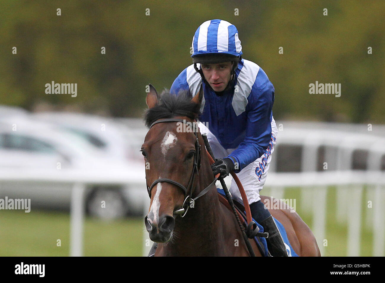 Horse racing william hill braveheart night hamilton park racecourse hi ...