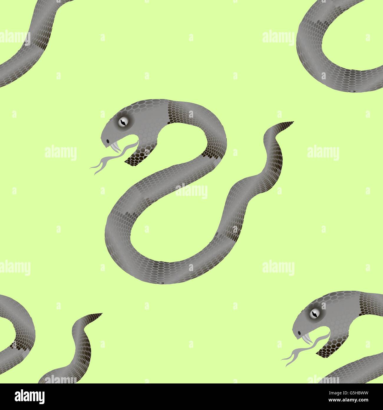 Green snake grey background Stock Vector Images - Alamy