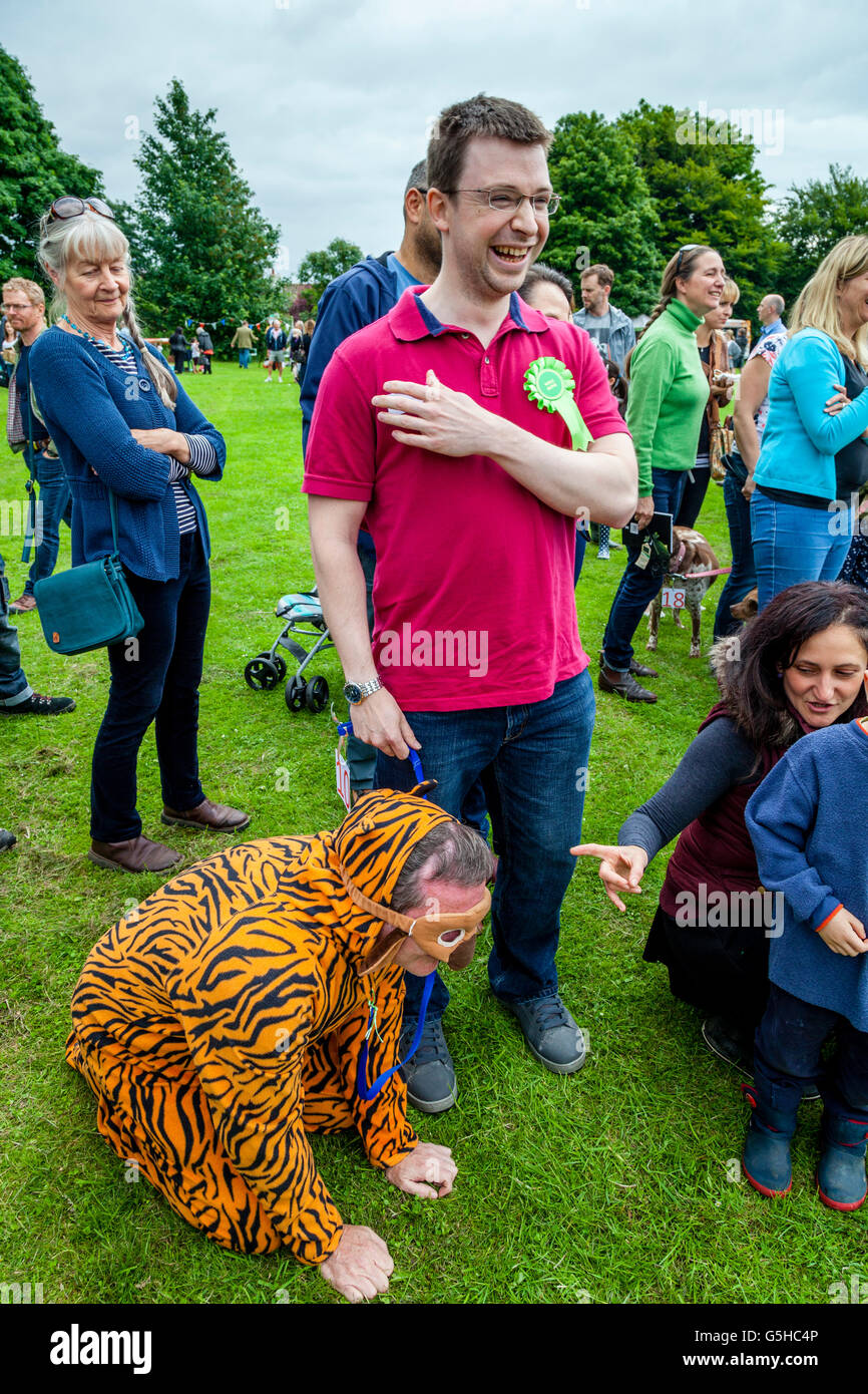 A Man Dressed In A Tiger Costume Takes Part In a Dog Show, Kingston ...