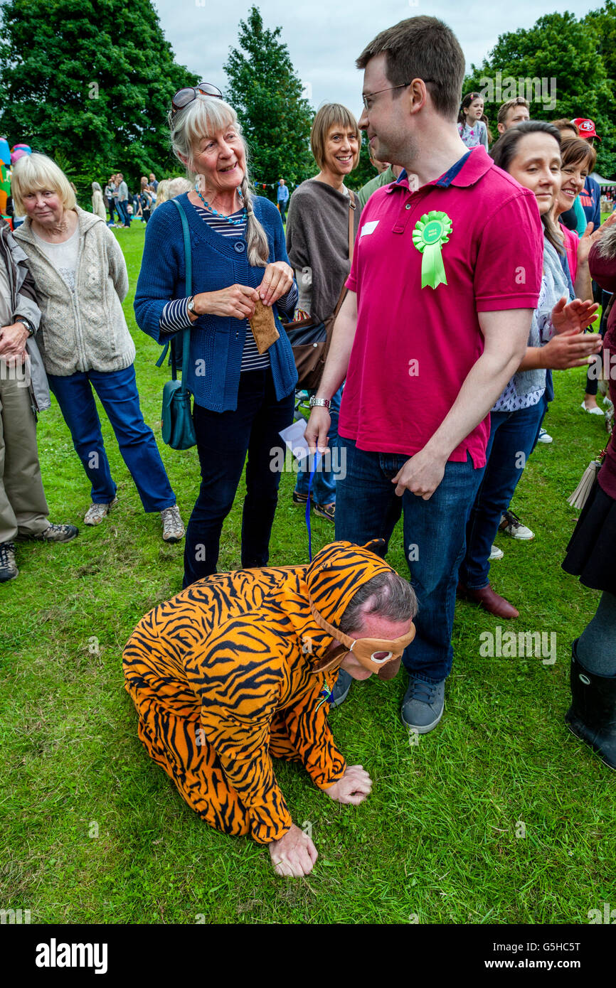 A Man Dressed In A Tiger Costume Takes Part In a Dog Show, Kingston ...