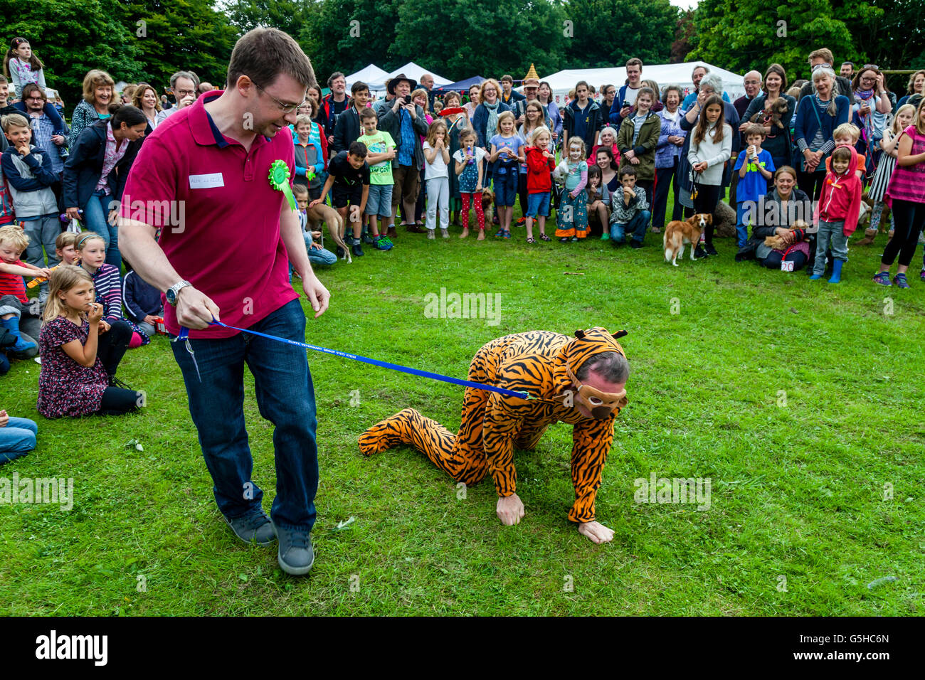A Man Dressed In A Tiger Costume Takes Part In a Dog Show, Kingston ...