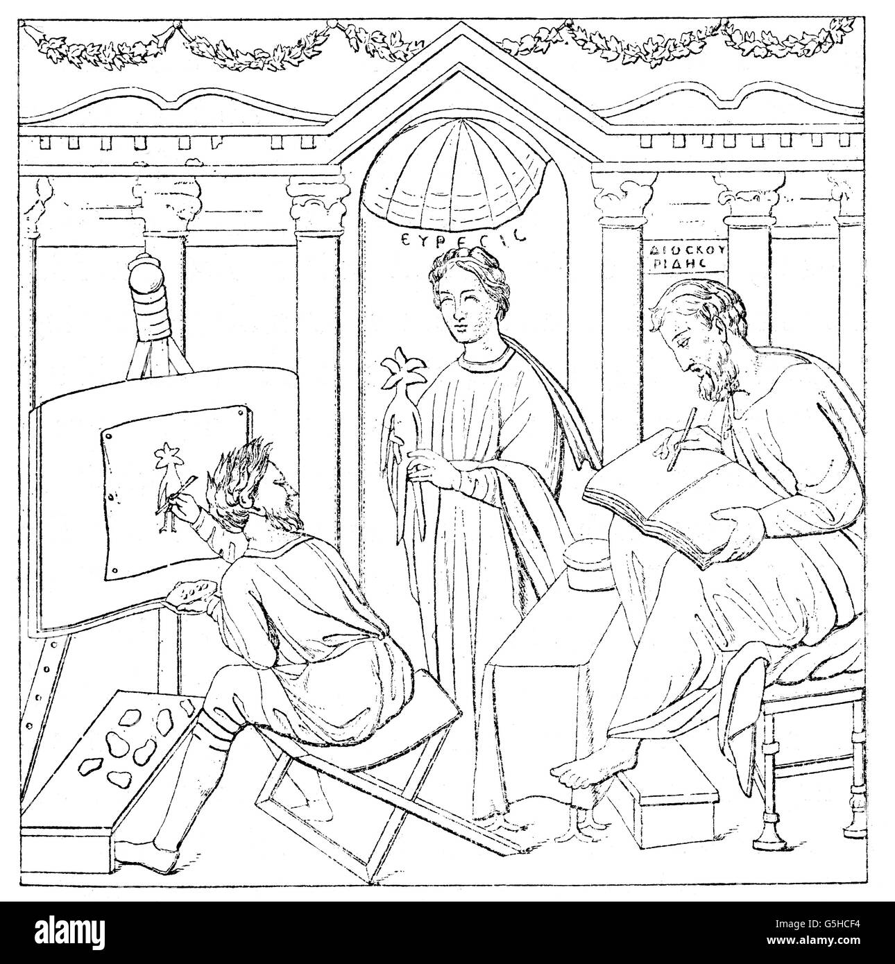 medicine, ancient world, students drawing a mandrake, miniature from ...