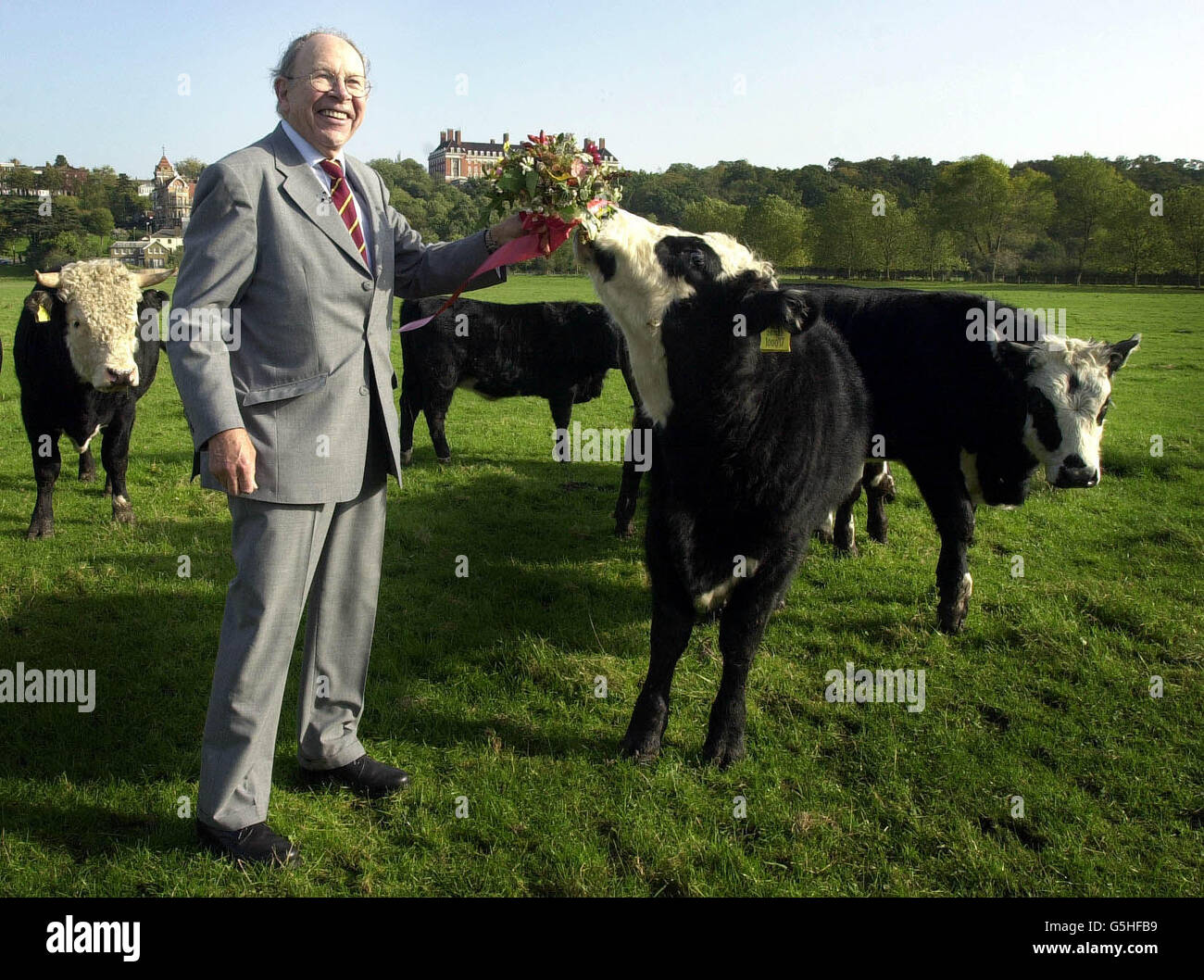 Petersham Trust chairman Chris Brasher on Petersham Meadows on the ...
