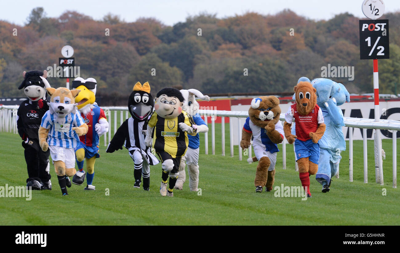 York city mascot yorkie the lion hi-res stock photography and images ...