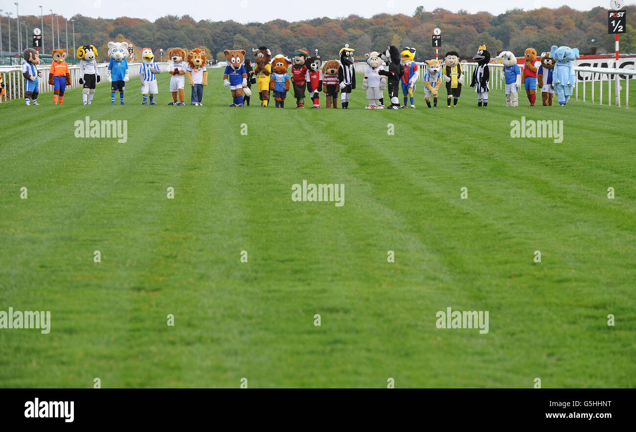 Football mascots uk hi-res stock photography and images - Alamy