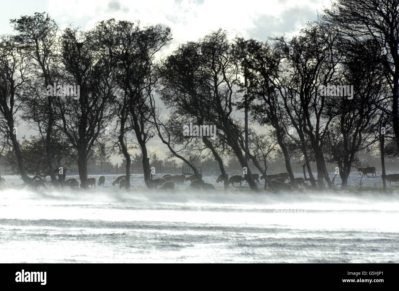 Gale force winds blow snow across fields at Sutton bank, near Thirsk in ...