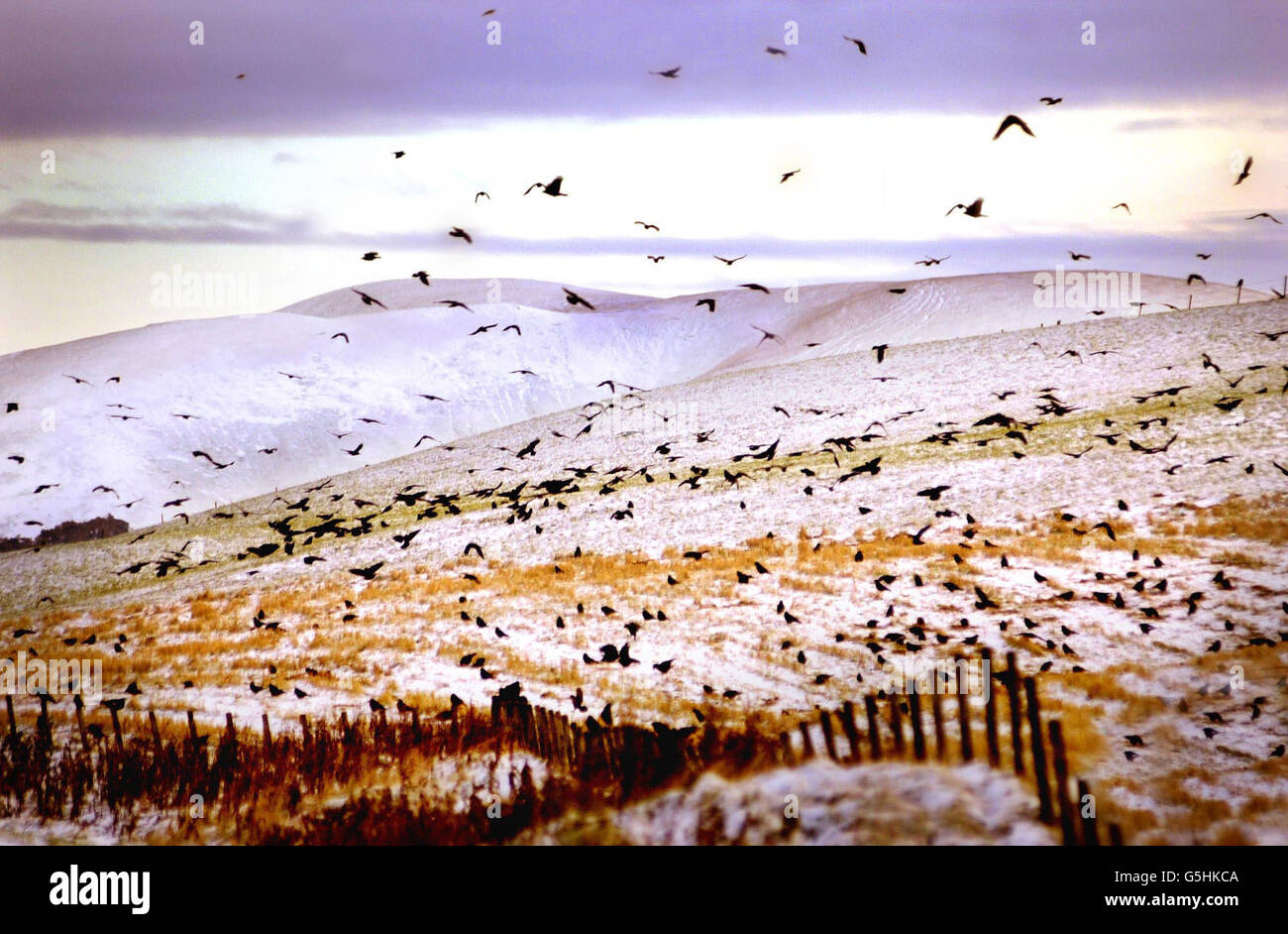 WEATHER Cold Scotland 1 Stock Photo - Alamy