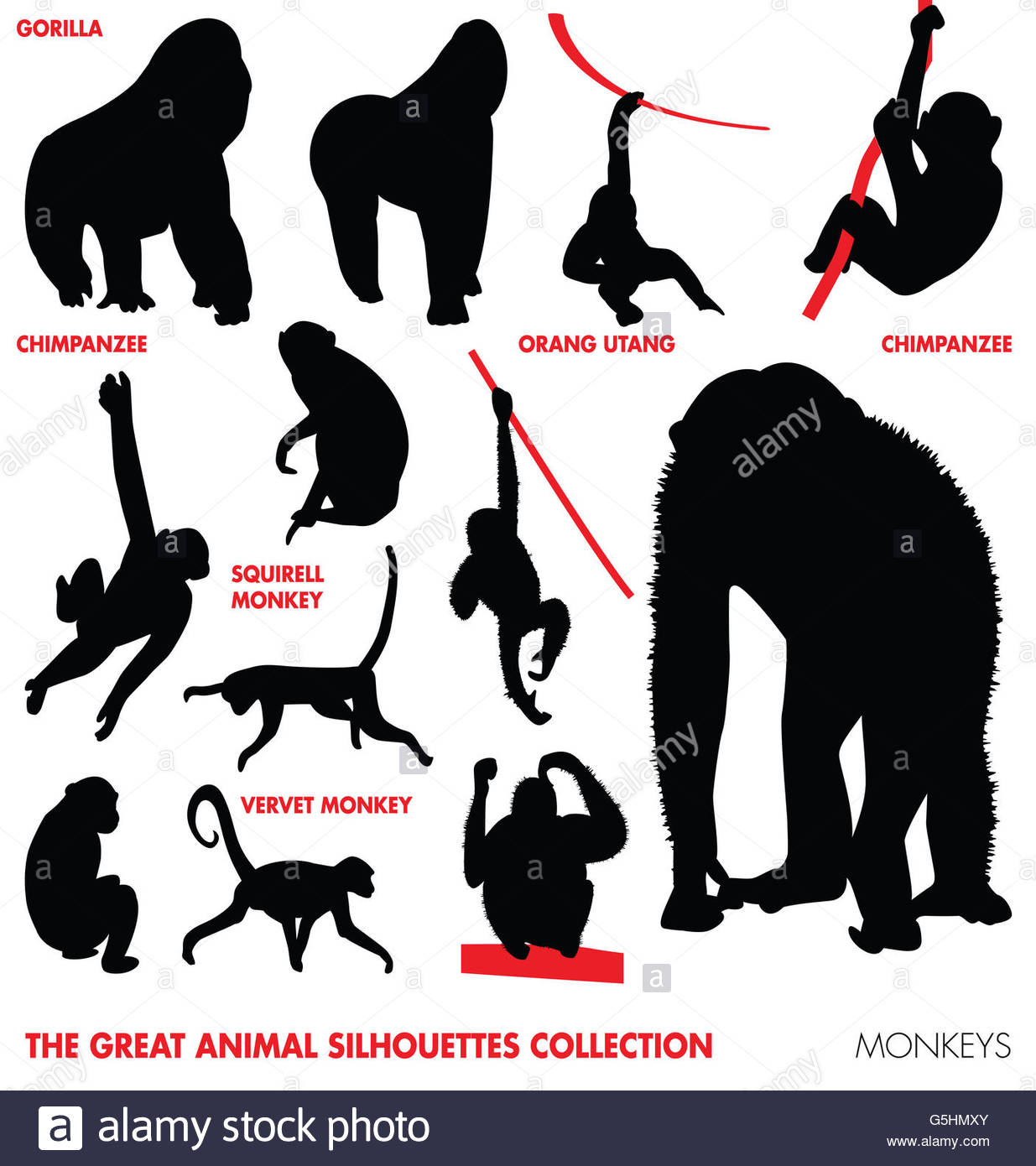 Monkey Pose Stock Photos & Monkey Pose Stock Images - Alamy