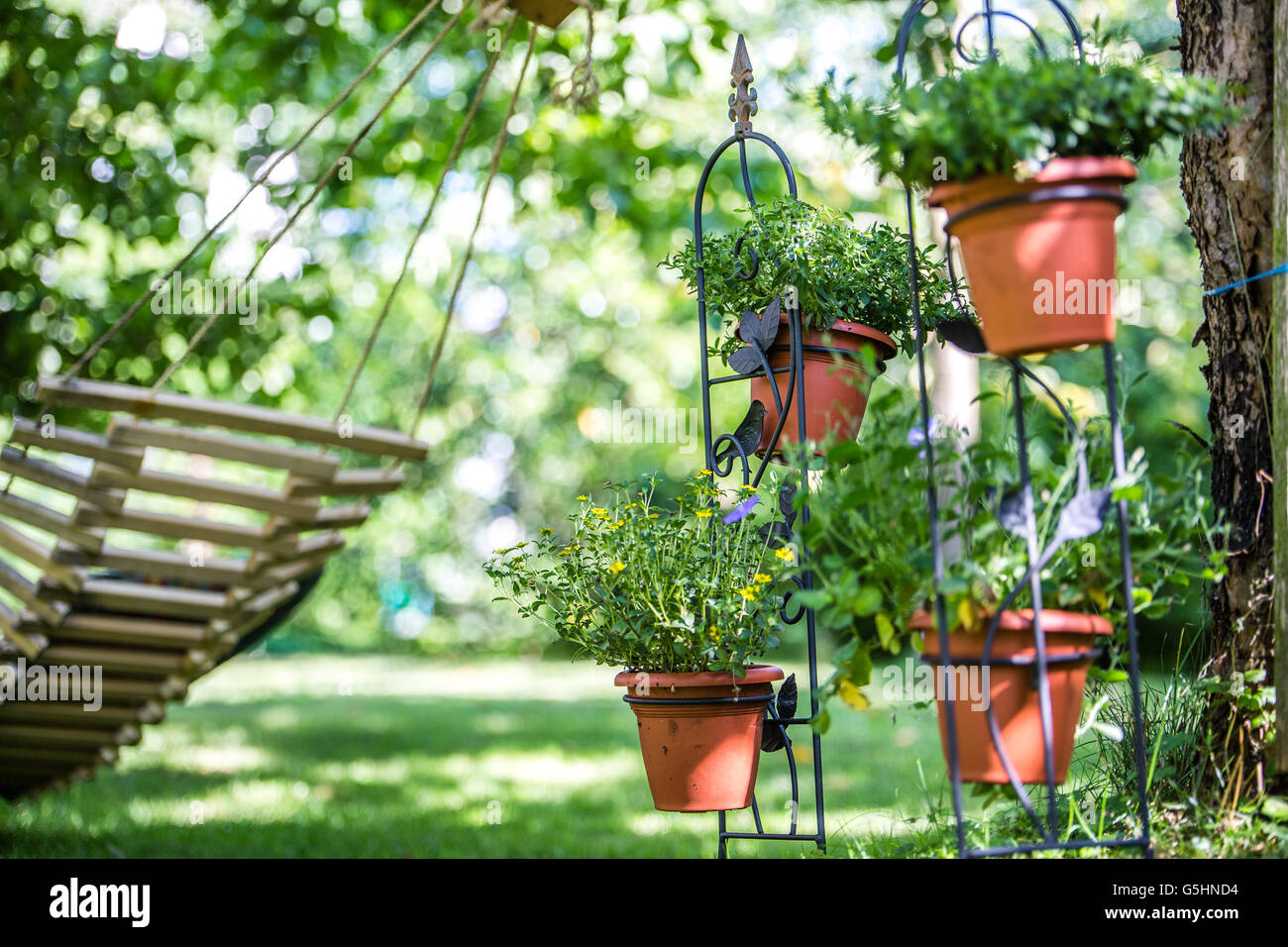 beautiful garden with pots and plants Stock Photo - Alamy