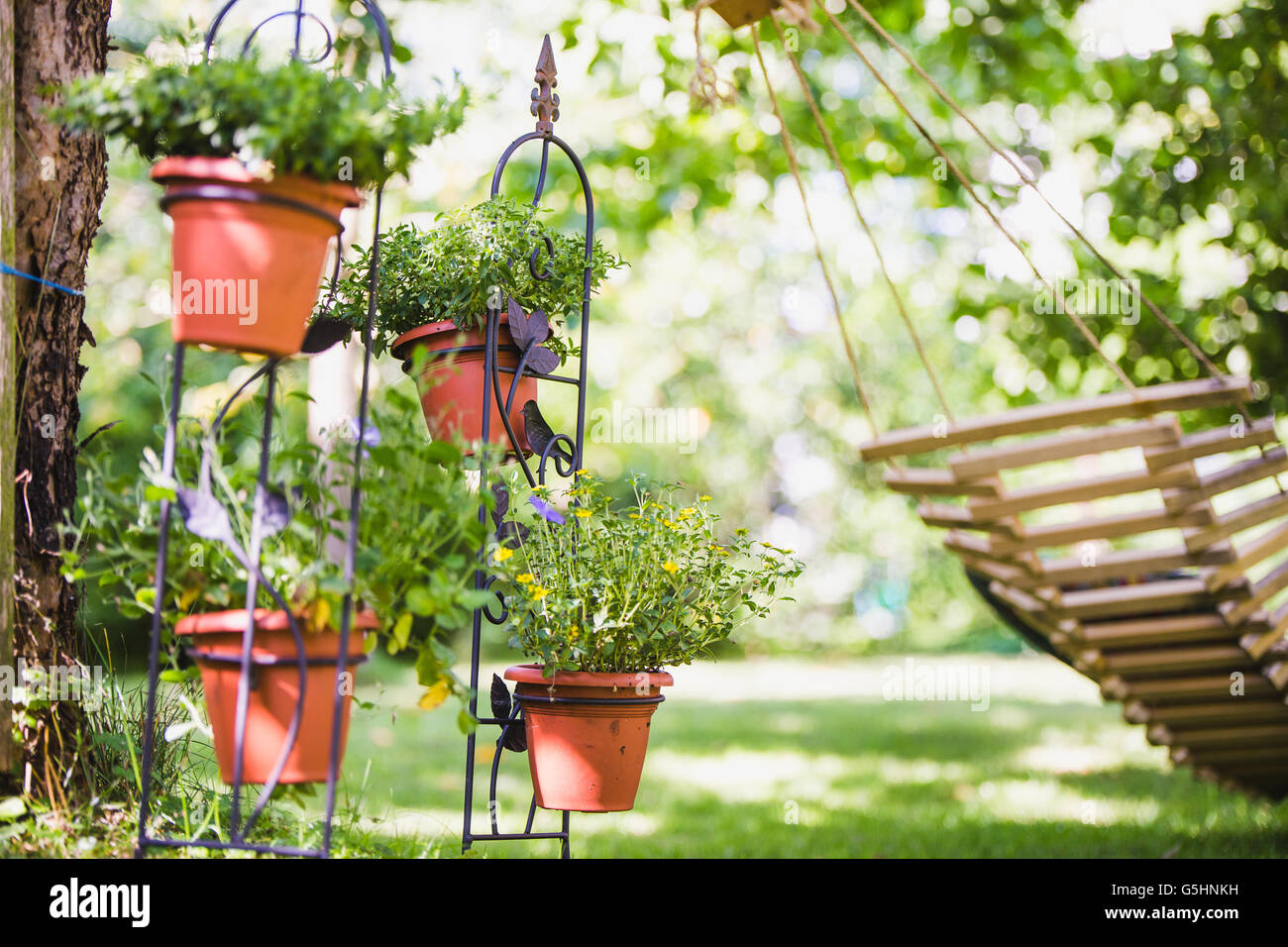 summer garden background Stock Photo - Alamy