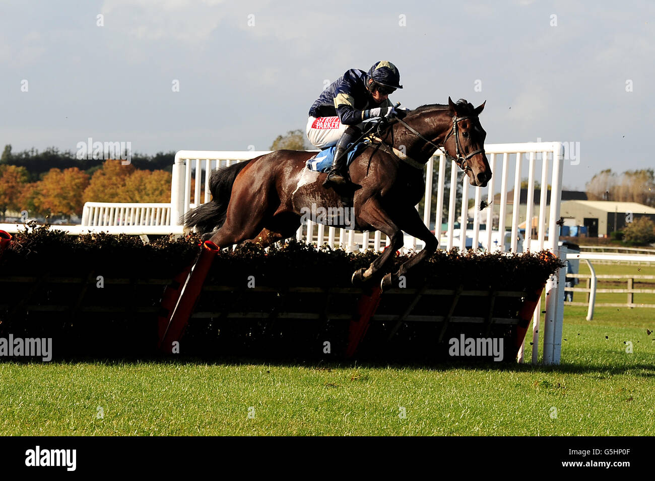 Horse Racing - Wetherby Racecourse Stock Photo - Alamy