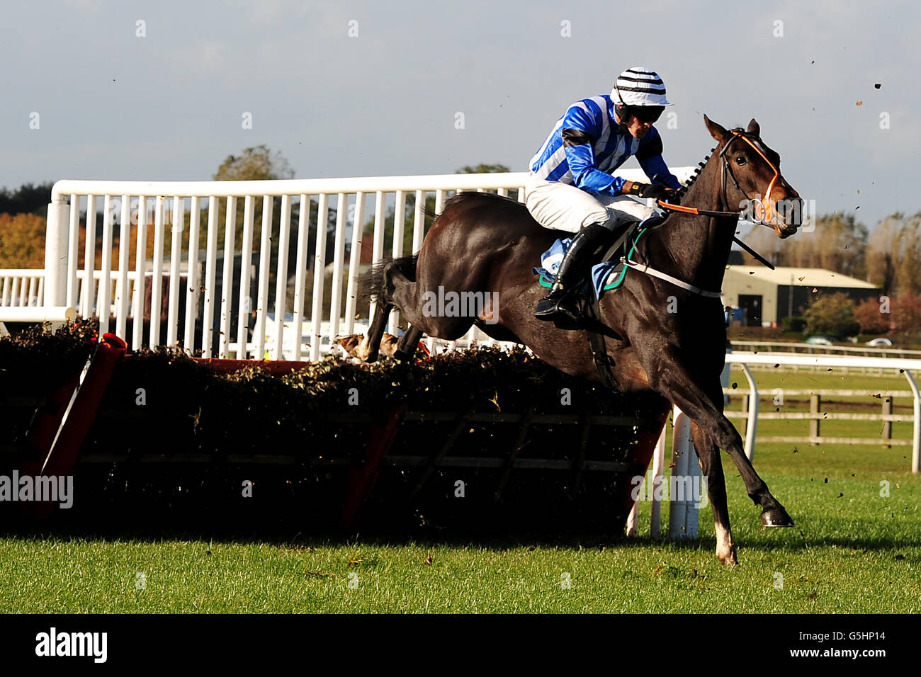 Horse Racing - Wetherby Racecourse. Quiet Route ridden by Danny Cook ...