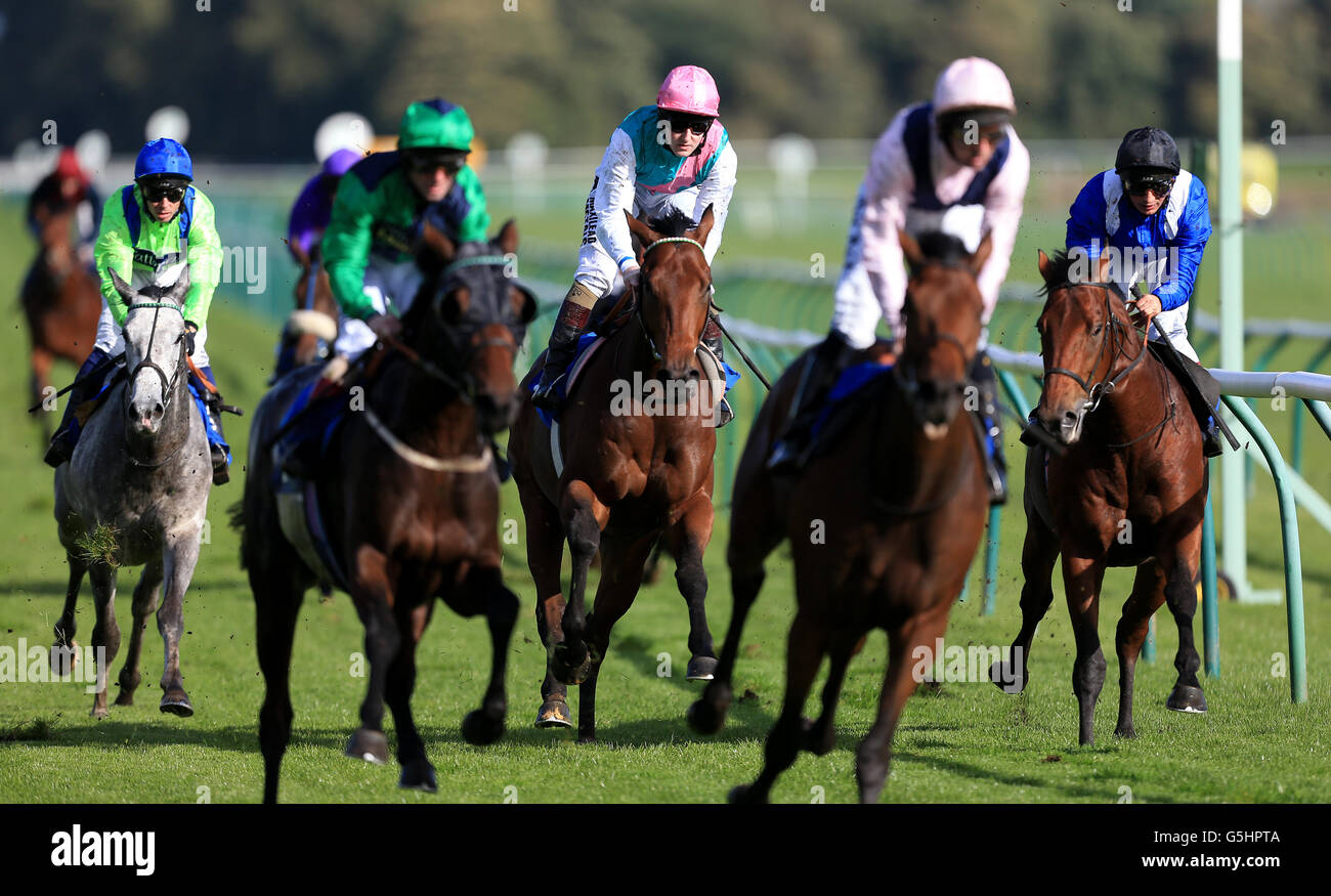 Horse Racing - Nottingham Races Stock Photo - Alamy