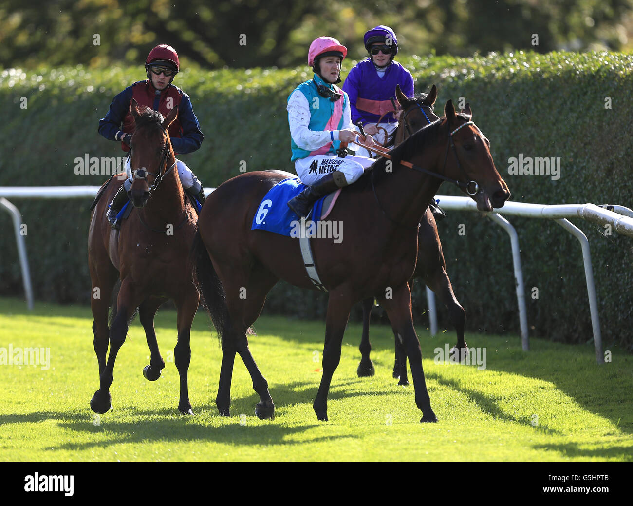 Horse Racing - Nottingham Races Stock Photo - Alamy