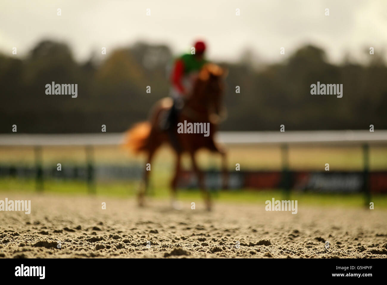 Lingfield park race track hi-res stock photography and images - Alamy