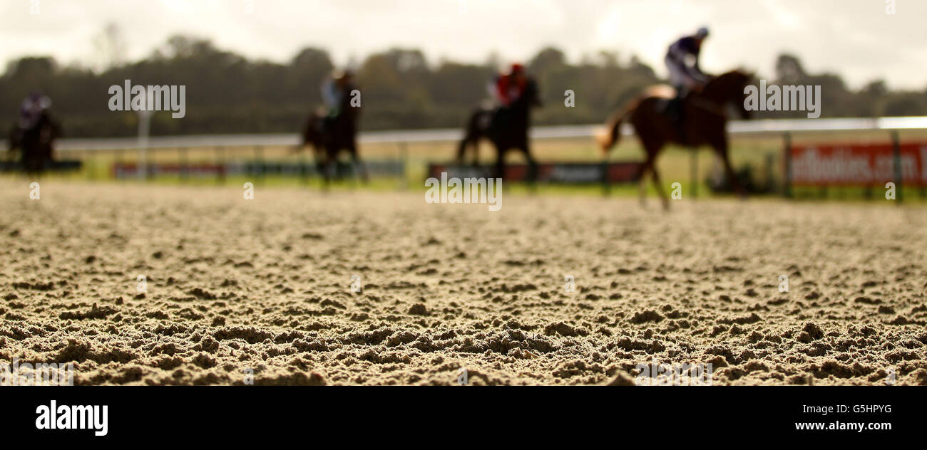 Lingfield park race track hi-res stock photography and images - Alamy