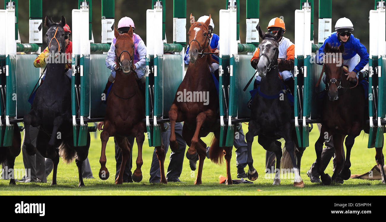 Horse Racing - Nottingham Races Stock Photo - Alamy