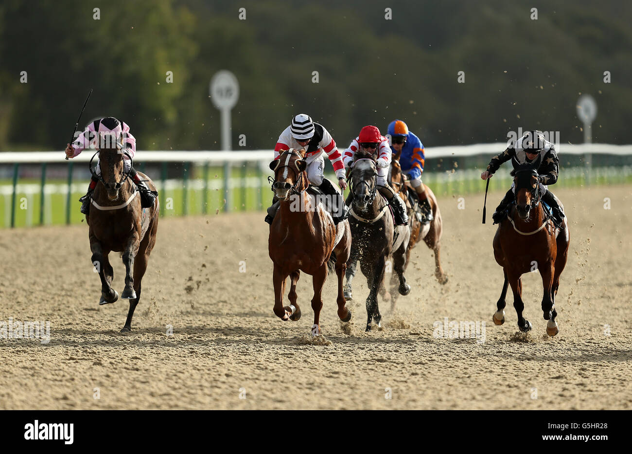 Horse Racing - Lingfield Races Stock Photo - Alamy