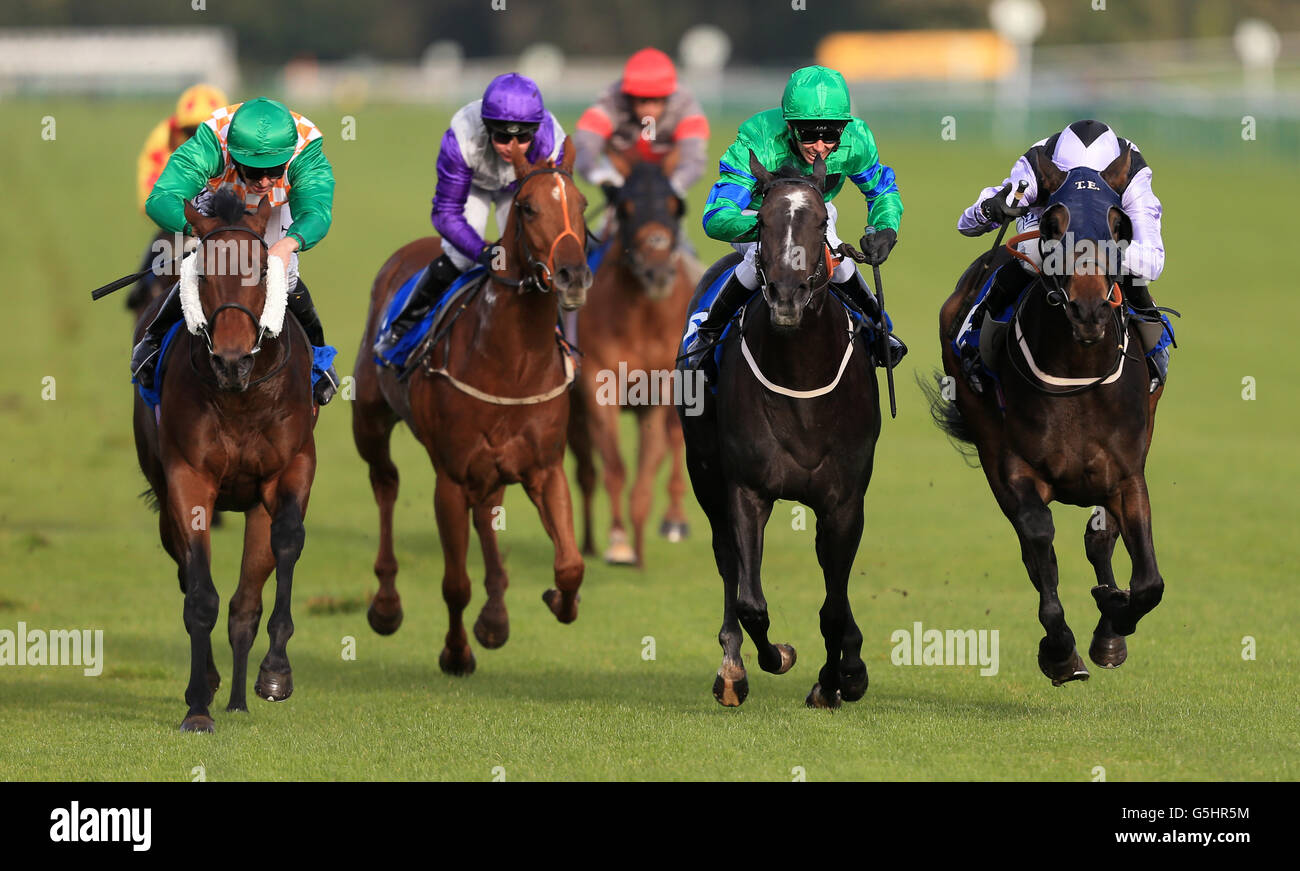 Horse Racing - Nottingham Races Stock Photo - Alamy