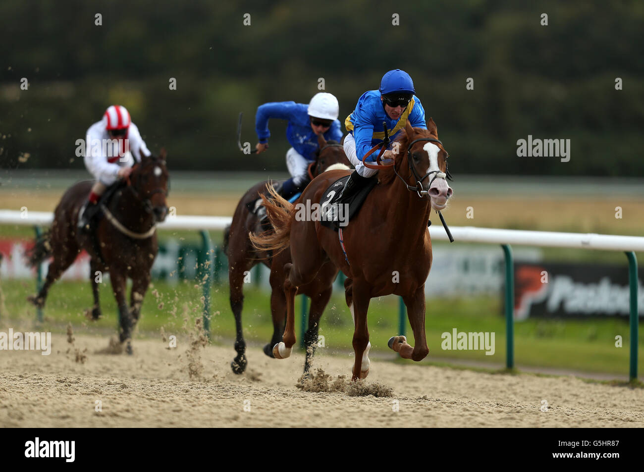 Horse Racing - Lingfield Races Stock Photo - Alamy