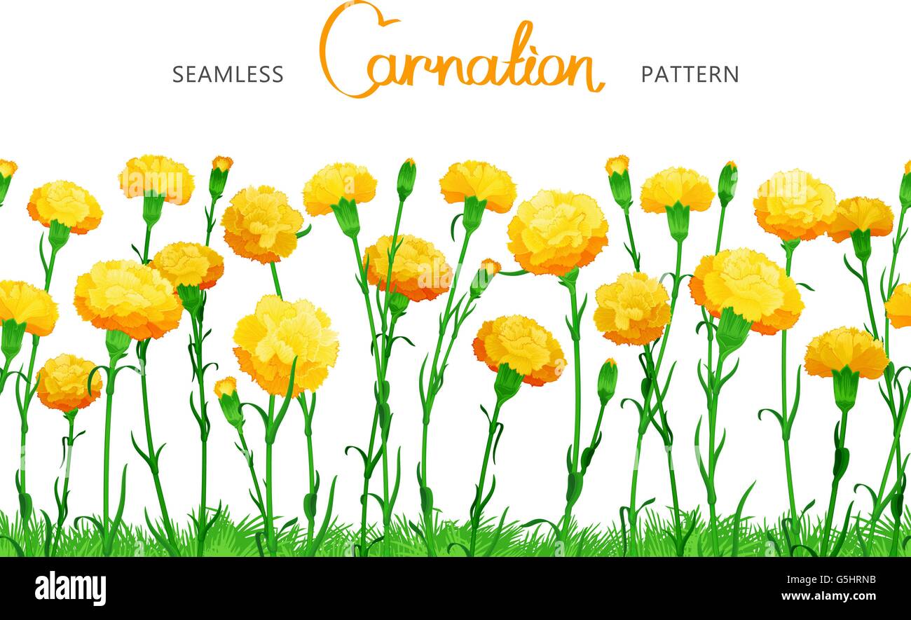 Long garden border Stock Vector Images - Alamy