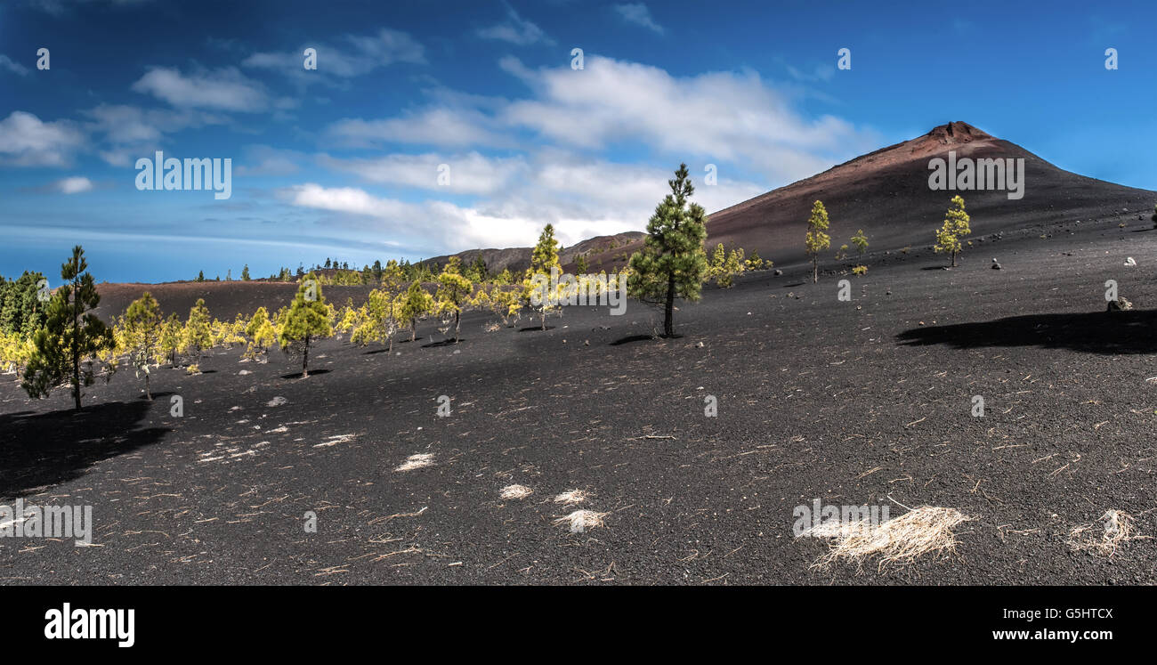 Volcano Teide National Park Tenerife Canary Islands Stock Photo - Alamy