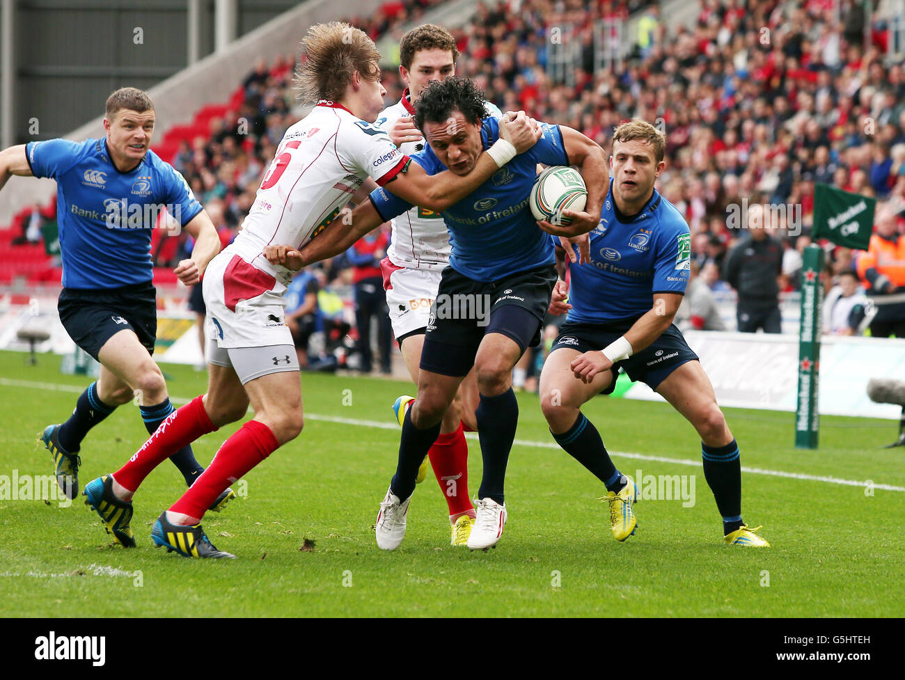 Parc y scarlets rugby hi-res stock photography and images - Alamy